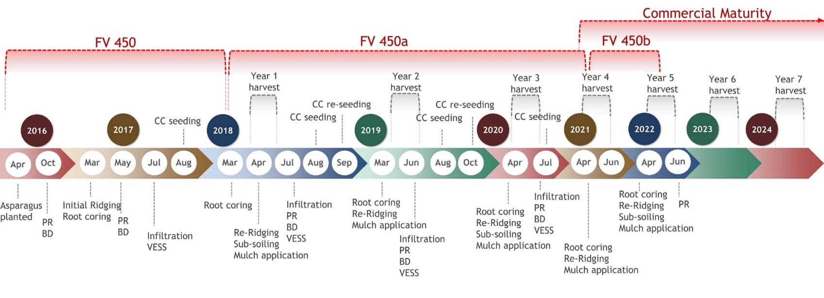 Factors affecting soil health and asparagus profitability | AHDB