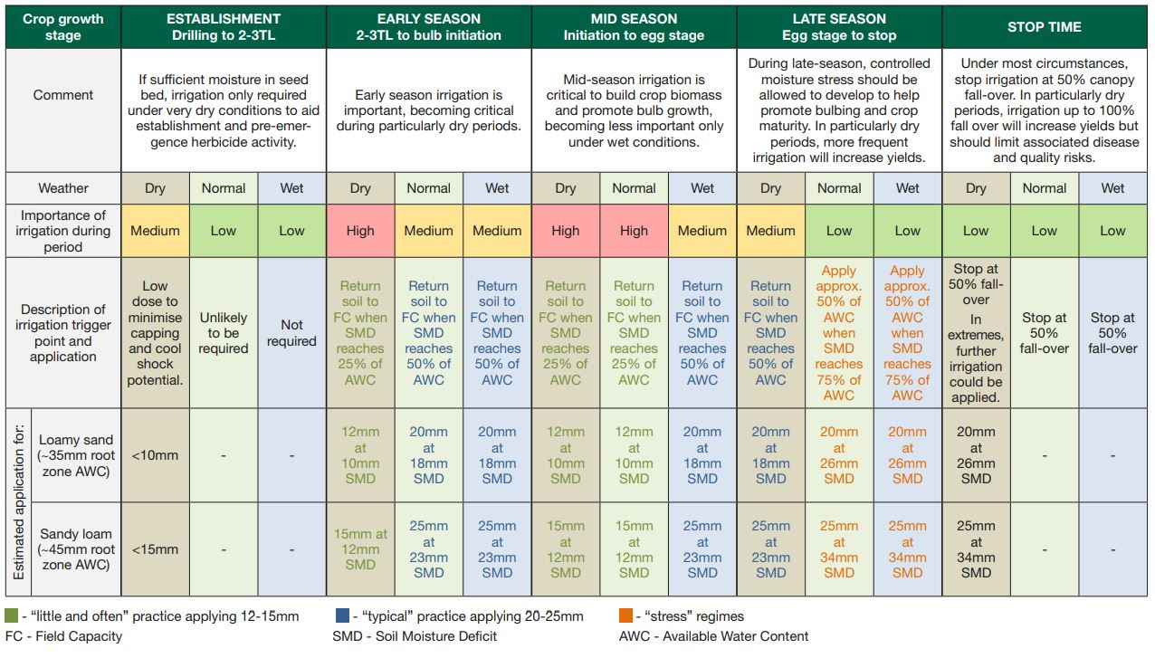 Irrigation in bulb onions | AHDB