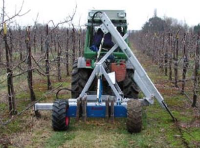 Root pruning in apples and pears | AHDB