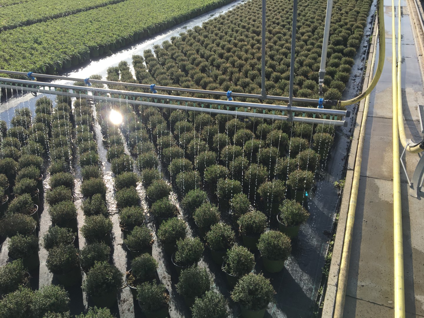 Introduction to fertigation | AHDB