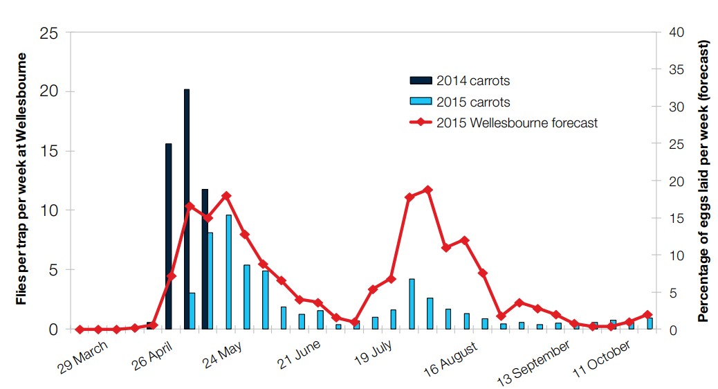 Pest insects in carrot and Apiaceous crops: monitoring and forecasting ...
