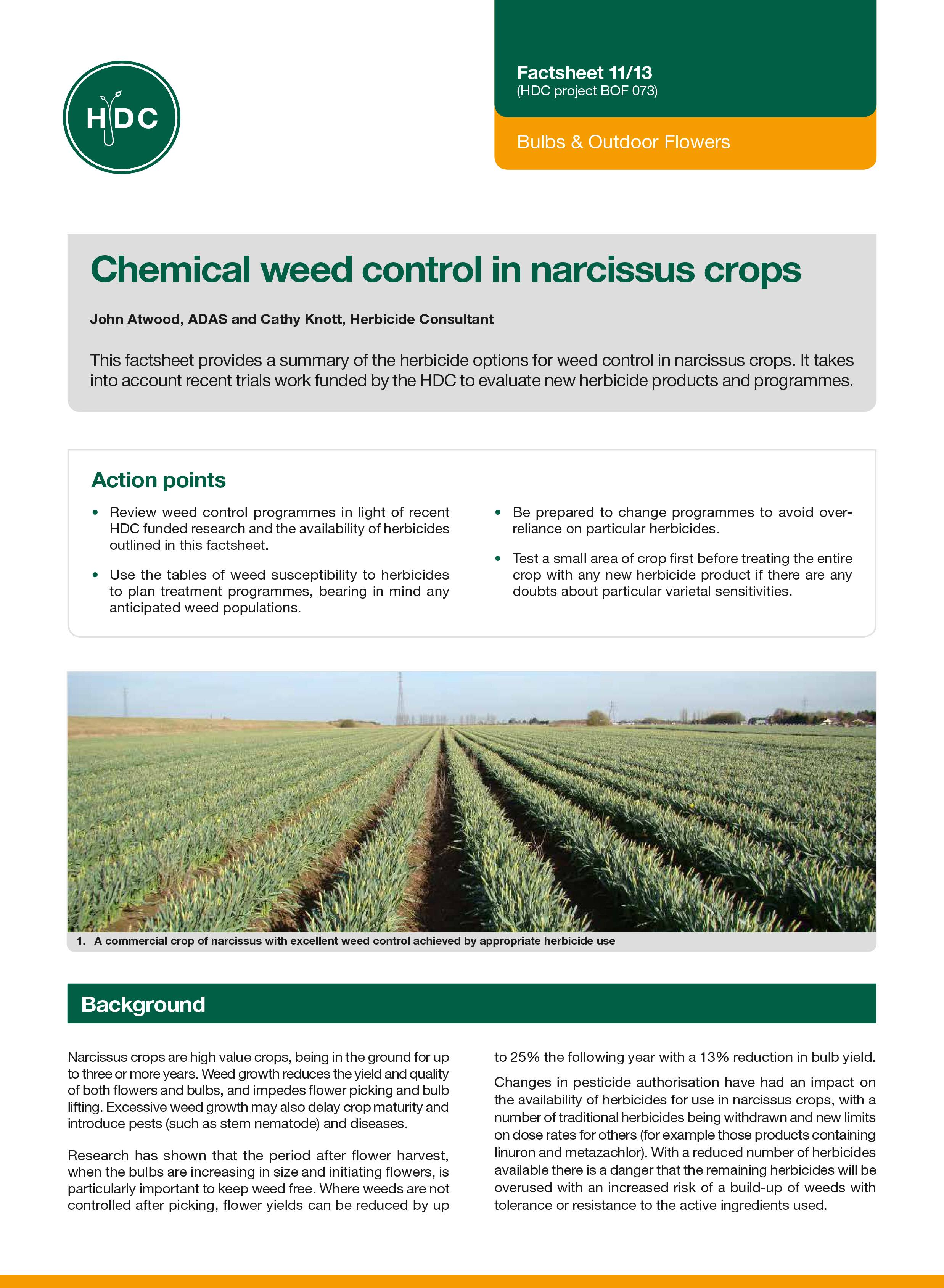 Chemical weed control in outdoor cut flower crops | AHDB