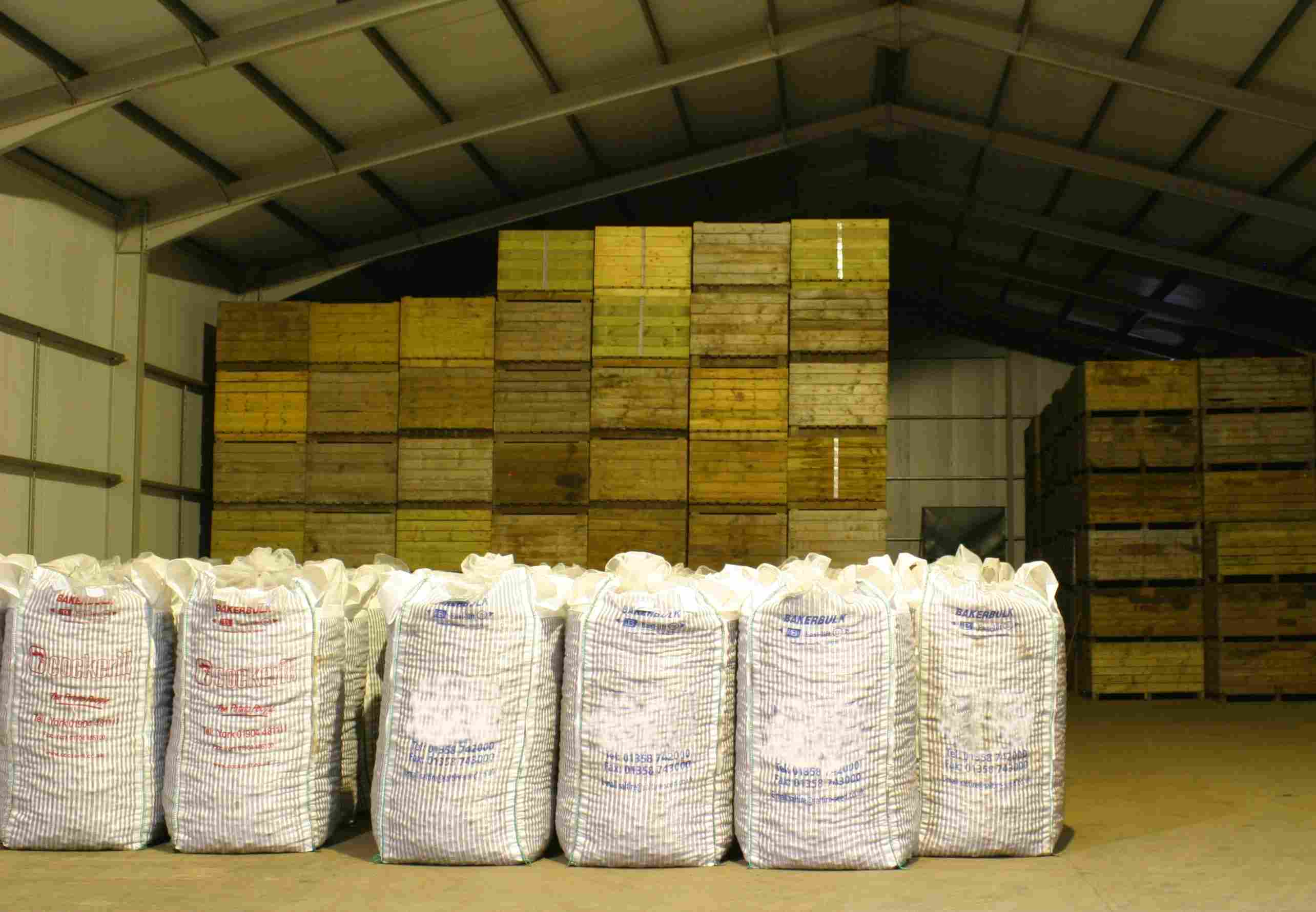 Seed handling & storage | AHDB