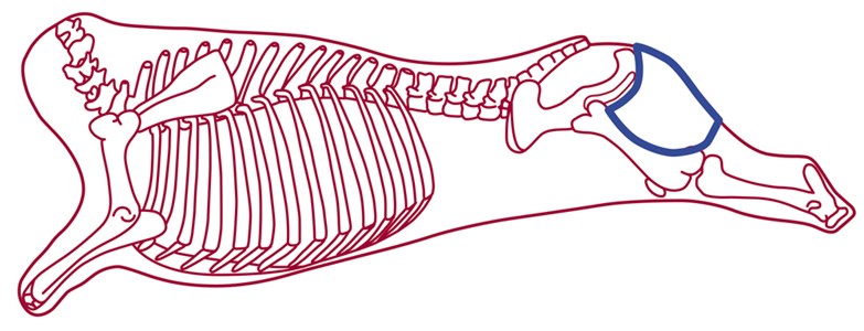 Topside Joints (without side muscle, fat added) | AHDB