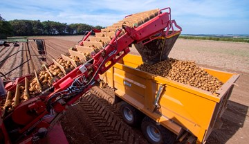 Potato agronomy - tools and resources | AHDB