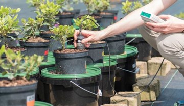 Growing Media Review | AHDB