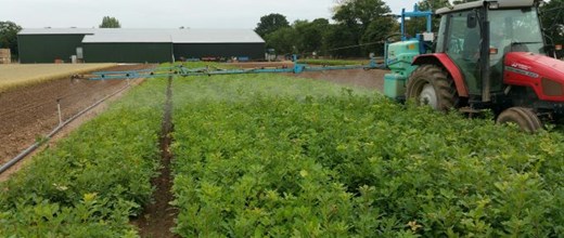 Horticulture | AHDB