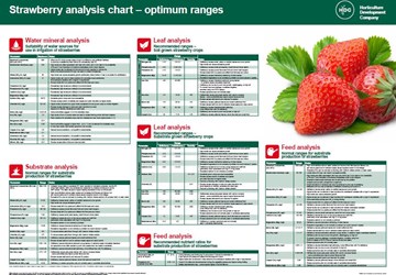 Strawberry Analysis Chart | AHDB
