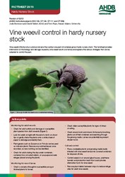 Vine weevil control in hardy nursery stock | AHDB