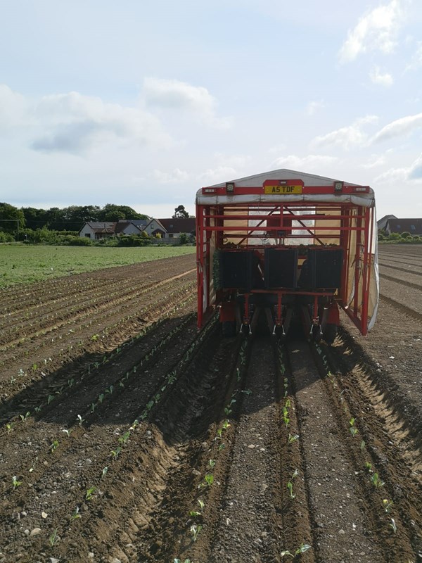 East of Scotland Growers | AHDB